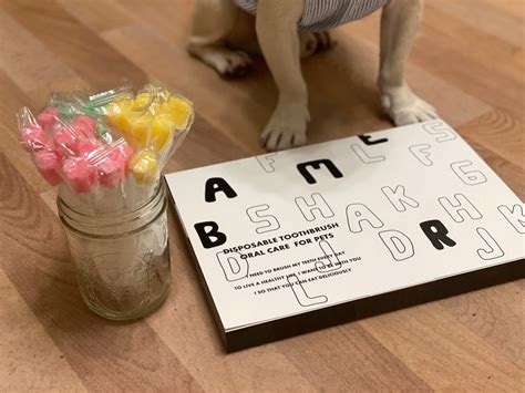 愛犬だって歯が命！お口ケアにもう一つプラス フレンチブルドッグ Theo（テオ）とmaruのつれづれ日記
