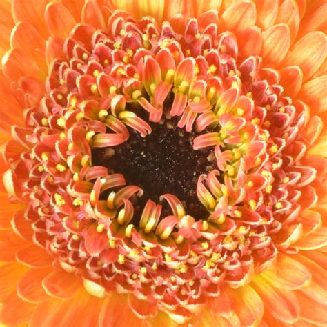 Why Core Values Are Important For A Successful Relationship Phil And Maude