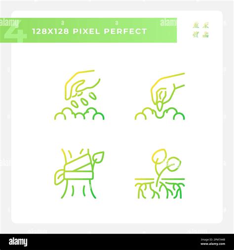 growing plants gradient linear vector icons set stock vector image