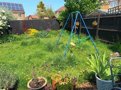 This Is What A No Mow May Lawn Looks Like Your Results Plantlife