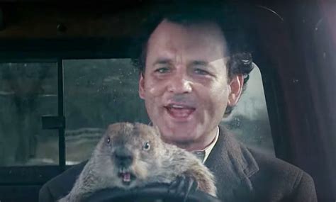 El Día De La Marmota Cumple 30 Años Y Sigue Siendo Tan Genial Como El