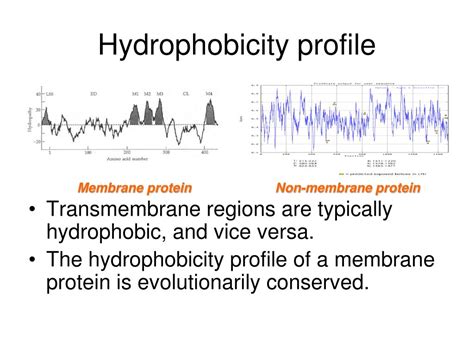 Ppt Predicting Protein Function From Heterogeneous Data Powerpoint Presentation Id 2029696