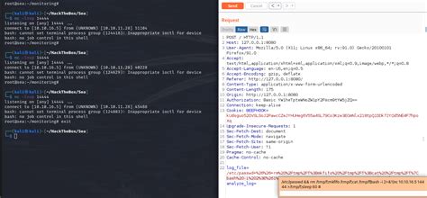 Writeup Hackthebox Sea B0rgch3ns Blog