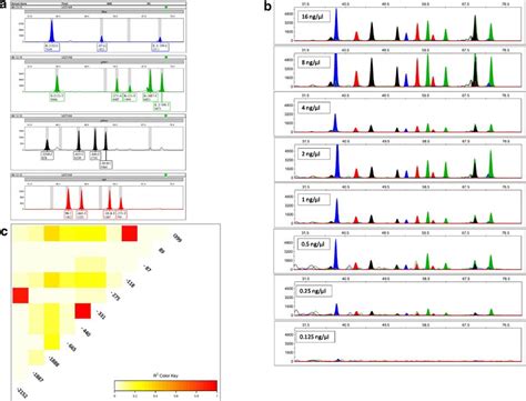 A Example Of The Multiplexed Detection Of 11 SNPs Using A Download Scientific Diagram