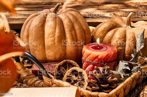 뜨개질 된 모직 격자무늬에 불타는 양초와 호박이있는 아늑한 따뜻한 가을 구성 가을 가정 장식 가을 분위기 추수 감사절 할로윈 0명에 대한 스톡 사진 및 기타 이미지 Istock