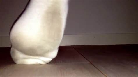 Sweaty Dirty White Socks Trample