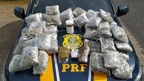 Polícia Federal faz grande apreensão de skunk kief haxixe e óleo de haxixe Átila Lemos
