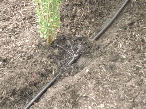 Our Home From Scratch