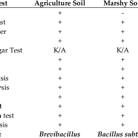 Different Carbohydrate Fermentation Of Bacterial Isolates From
