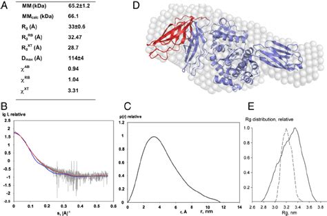 Saxs Analysis A Molecular Parameters Calculated From Saxs Data