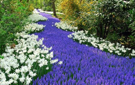 Flower Road Wallpapers Top Free Flower Road Backgrounds WallpaperAccess