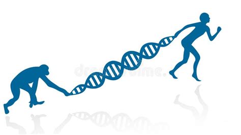 人和黑猩猩，大猩猩 生物和解剖学例证 刻记手拉在老剪影和葡萄酒样式 向量例证 插画 包括有 万圣节 恐怖 97348703