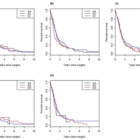 Relationship Between Overall Survival And Snp Genotype In Combined Download Scientific Diagram