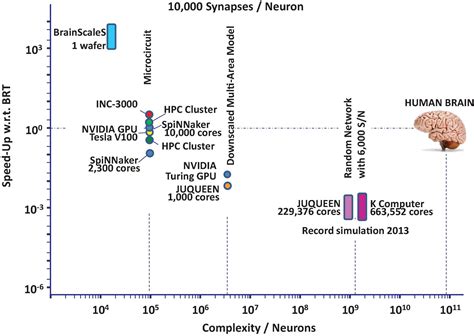 Frontiers Simulating The Cortical Microcircuit Significantly Faster Than Real Time On The Ibm
