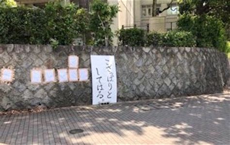 京大の「タテカン」こと立て看板強制撤去後に京大生がやった対抗策まとめ【画像あり】 我、京大生ぞ