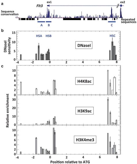 C Ebp And Myb Regulate Flt Expression In Aml Pmc