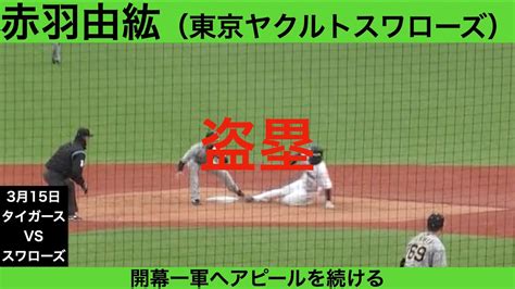 赤羽由紘（東京ヤクルトスワローズ）盗塁 Youtube