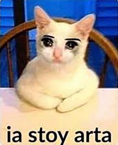 Estoy Harta Meme El Deforma Un No Ticiero De Verdad