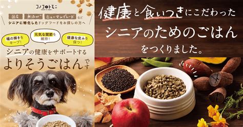 シニアのためのこのこのごはんの詳細記事 みんなのドッグフード