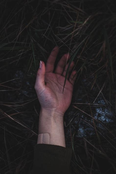 Qué significa soñar que matas a alguien Su significado tiene que ver más contigo