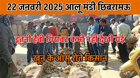 आलू का आज का भाव छिबरामऊ मंडी Aalu Ka Aaj Ka Bhav Chhibramau Mandi