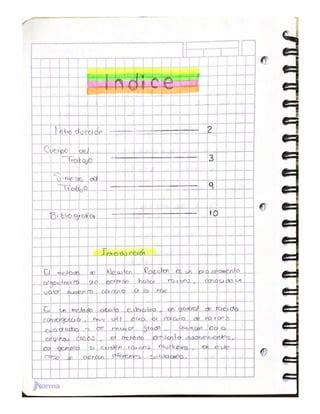 Metodo De Newton Raphson PDF