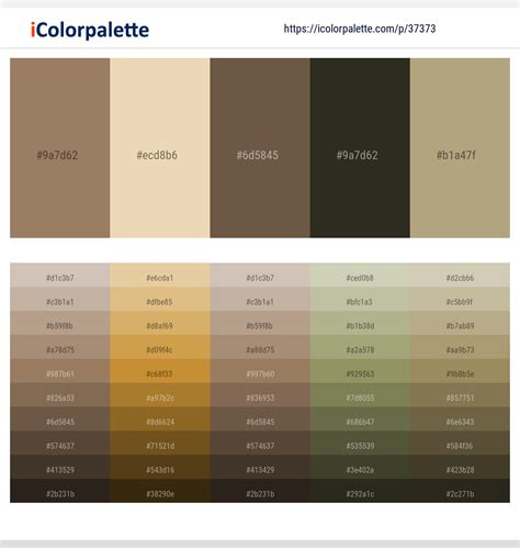 3 Latest Color Schemes With Domino And Rangitoto Color Tone
