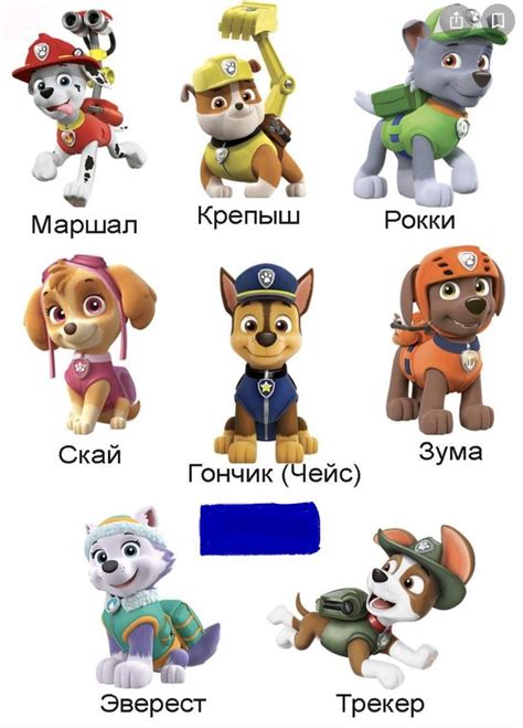 Костюм Щенячий патруль,новорічний костюм,костюм для хлопчика, плащ: 280 ...