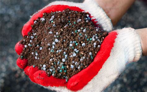 Чим та як удобрювати землю навесні News