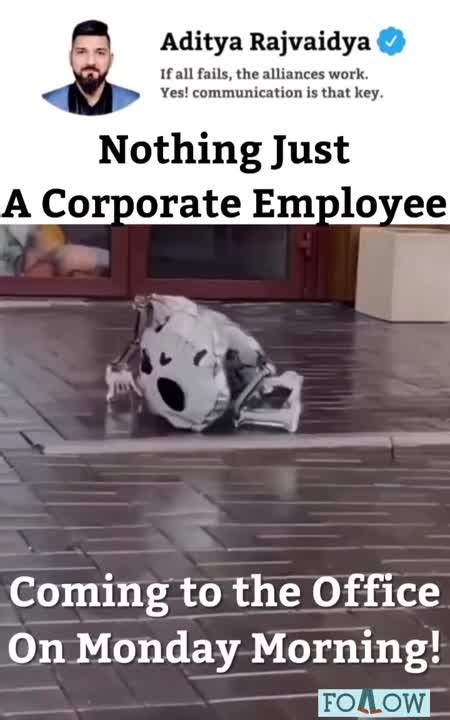 [video] Aditya Rajvaidya On Linkedin Monday Mondayagain Mondayblues Mondayvibes Newweek