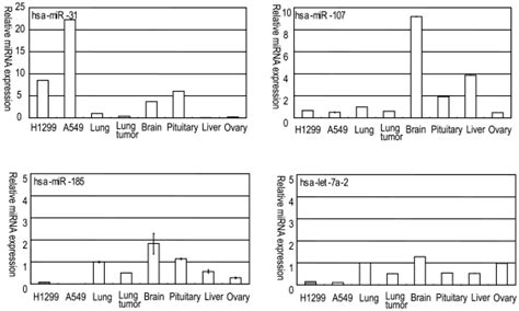 Mirna Expression Levels Were Measured By Mirna Taqman Qrt Pcr In Normal