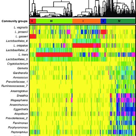 Composition And Structure Of Vaginal Bacterial Communities Found In Download Scientific