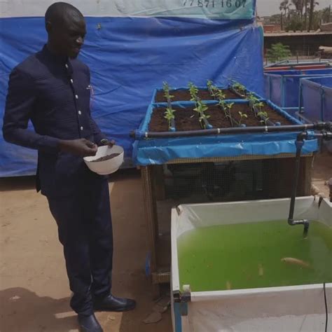 A Saidani Posted On Linkedin