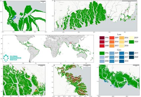 Remote Sensing Mdpi On Linkedin Mostdownloaded Globalmangrove Globalmangrove Remotesensing