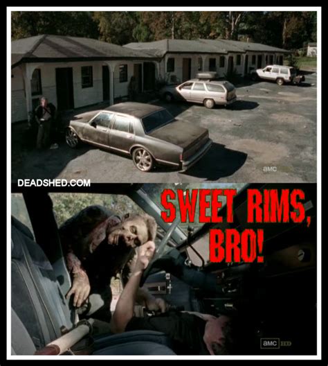 Walking Dead Merle Meme Walking Dead Merle Meme