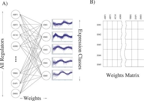 Connectivity In The Yeast Cell Cycle Transcription Network Inferences From Neural Networks