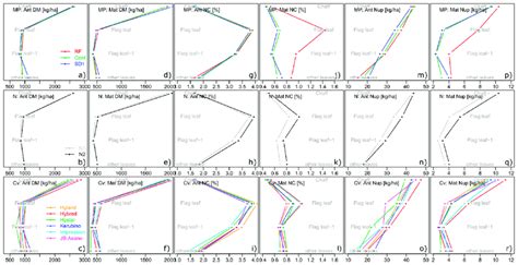Vertical Distribution Of Dry Matter Dm A F N Concentration Nc