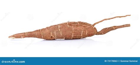 Cassava Isolated On White Background Stock Image Image Of Root Food