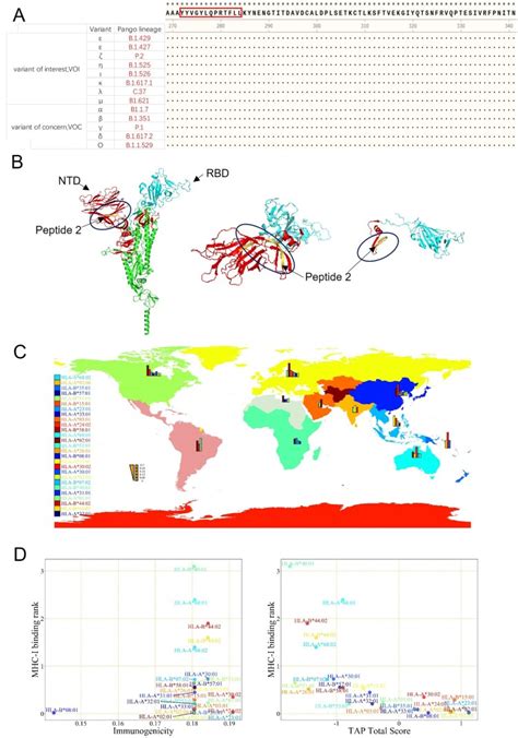 Identification Of A Promiscuous Conserved Ctl Epitope Within The Sars
