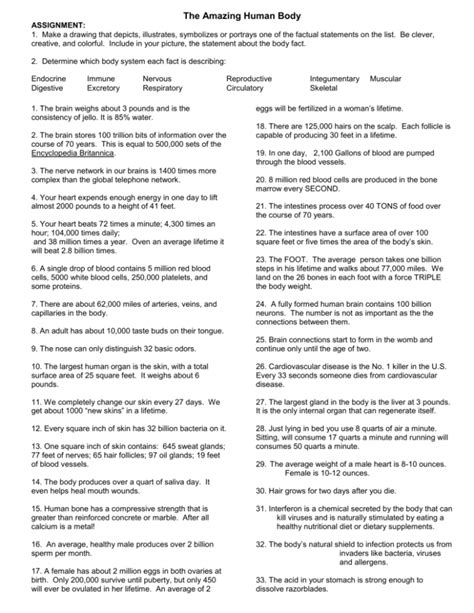 Human Body Facts Assignment Anatomy And Physiology
