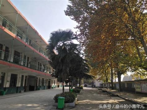 舞陽縣辛安一中校園風景 每日頭條