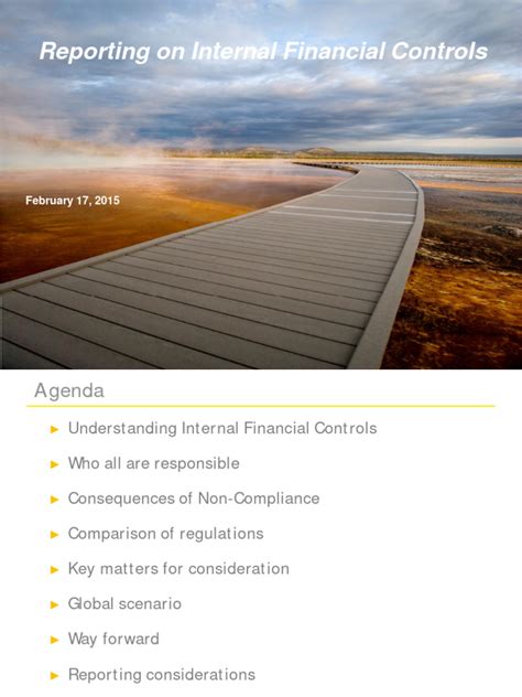 Reporting On Ifc Pdf Internal Control Audit