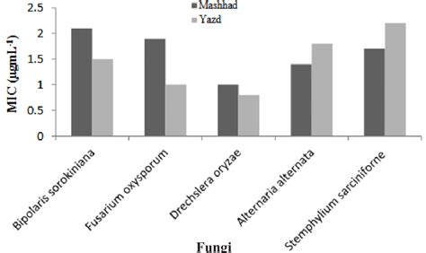 The Antifungal Activity Of Essential Oil Of Origanum Vulgaris Subsp
