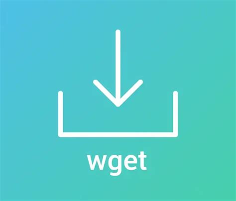 How To Download Files And Web Pages With Wget Boolean World