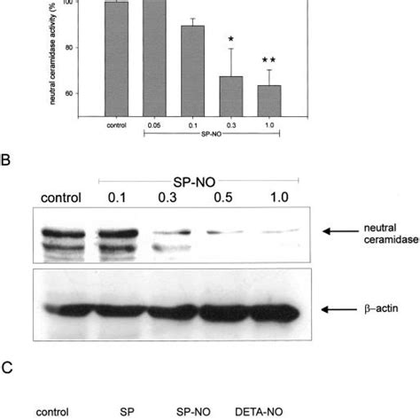 Effect Of Pkc Inhibitors On Tpa Induced Phosphorylation Of Neutral