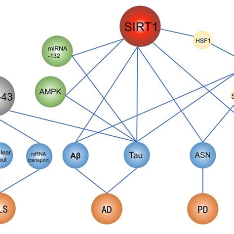 The Interactions Among Disease Associated Proteins Some Download