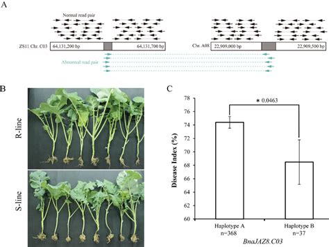 Structural Variation And Analysis Of Significance Of The Differences In Download Scientific
