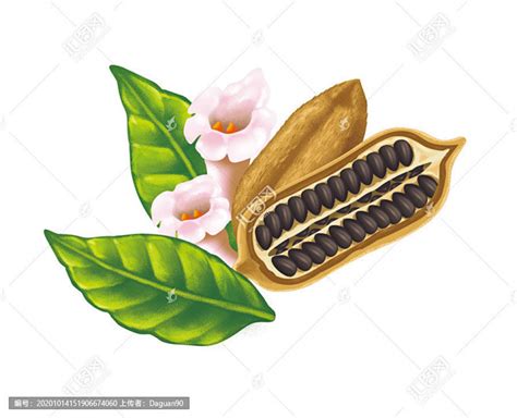 黑芝麻插画 食品包装 包装设计 设计 汇图网