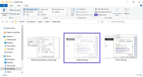 Aprende A Mostrar Los Archivos Ocultos En Tu Ordenador Y Smartphone