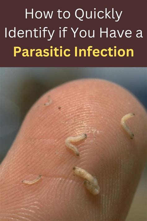 Human Parasite Cleanser How To Do Yoga How Are You Feeling